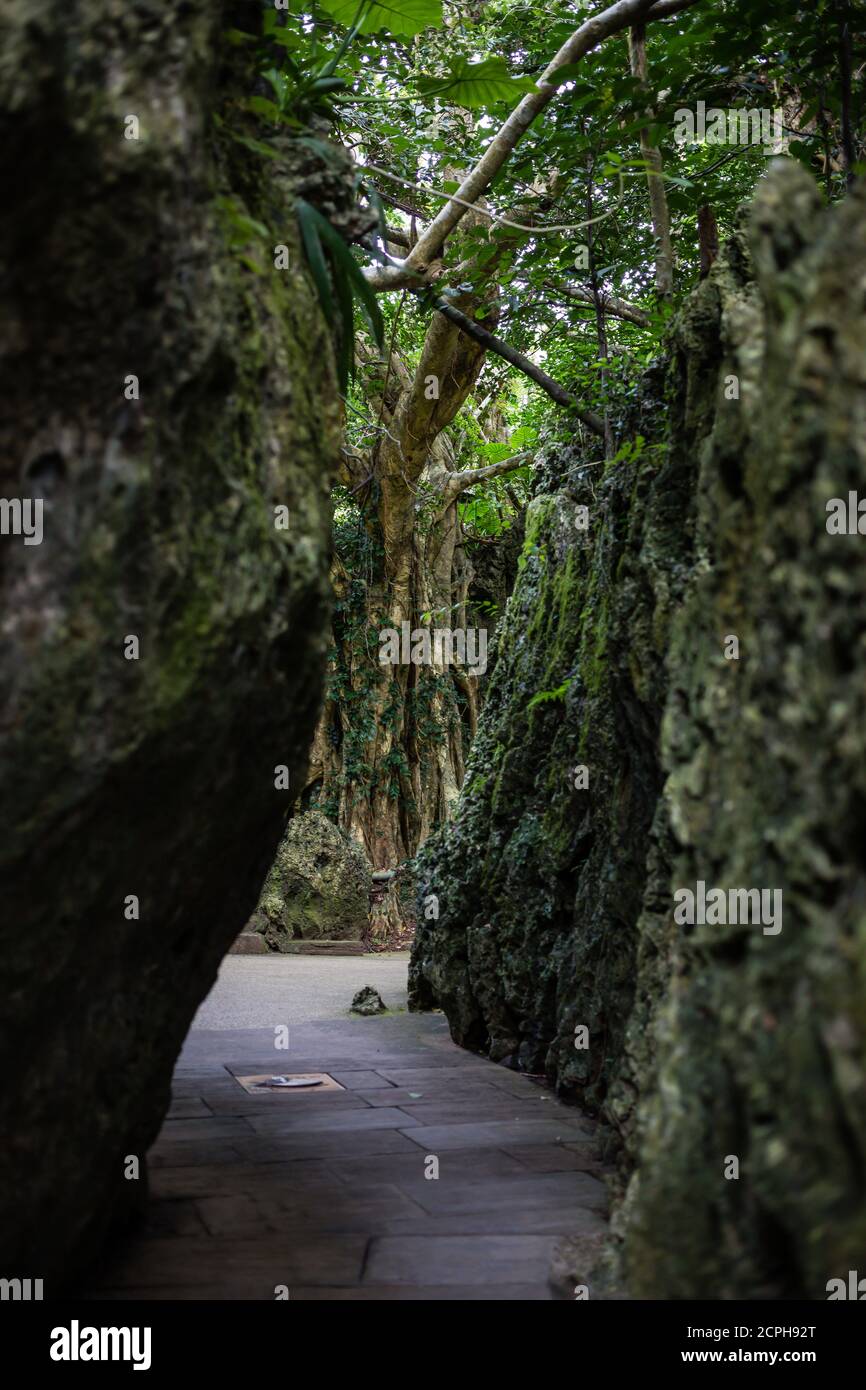Crevice in the Kenting National Forest Recreation Area Stock Photo - Alamy