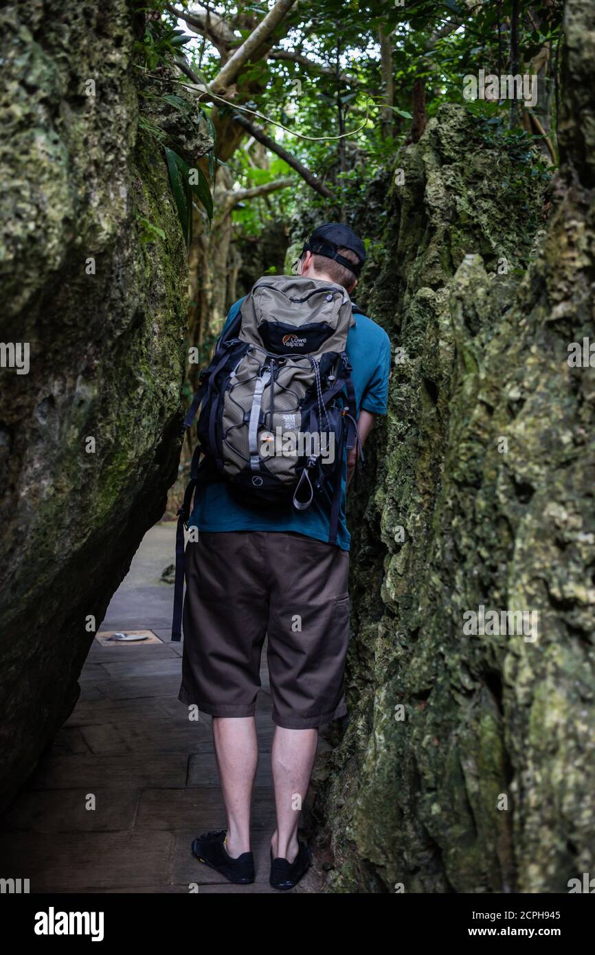 Crevice garden hi-res stock photography and images - Alamy