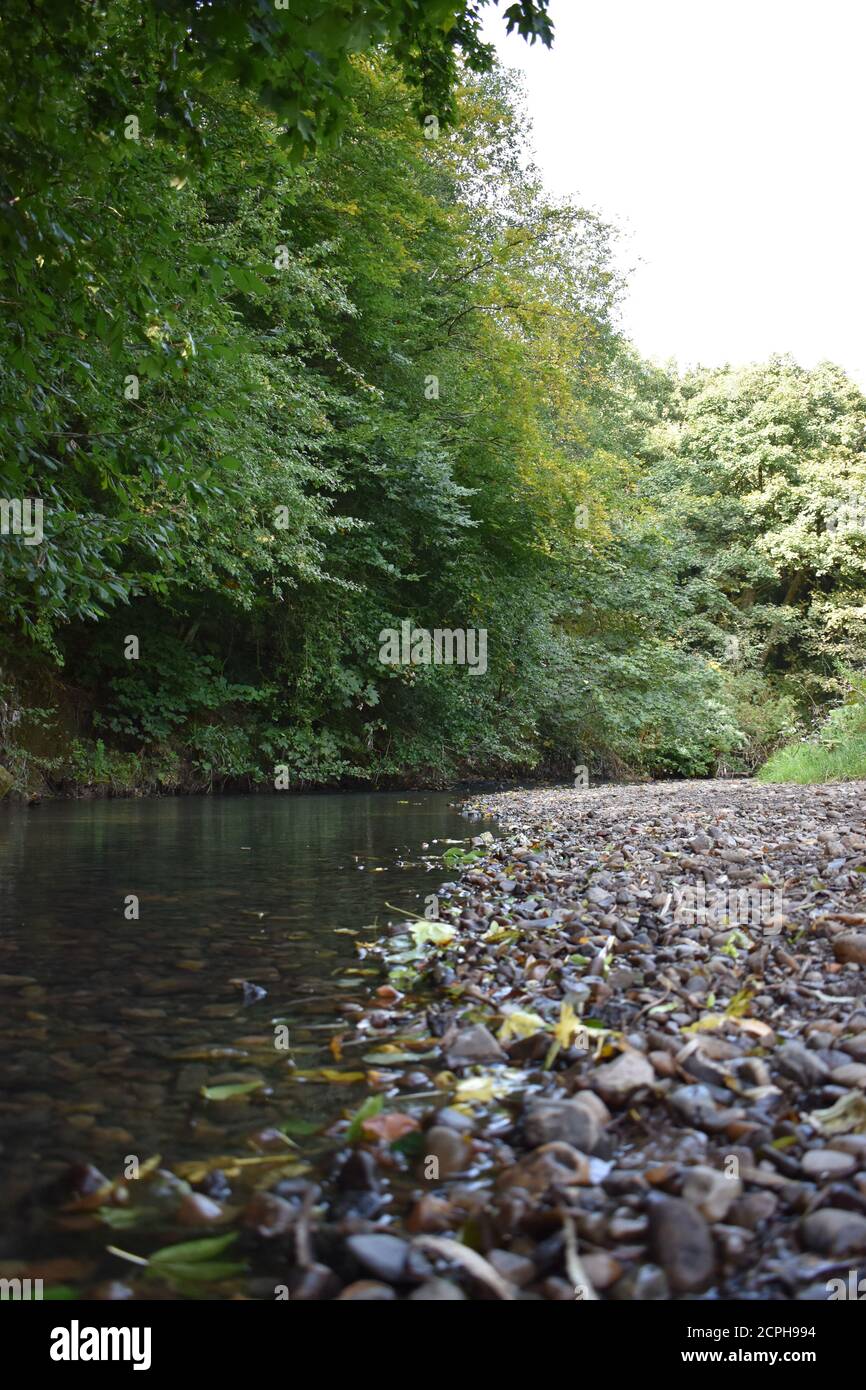 Close up of the River Medlock at Daisy Nook Country Park, Manchester ...