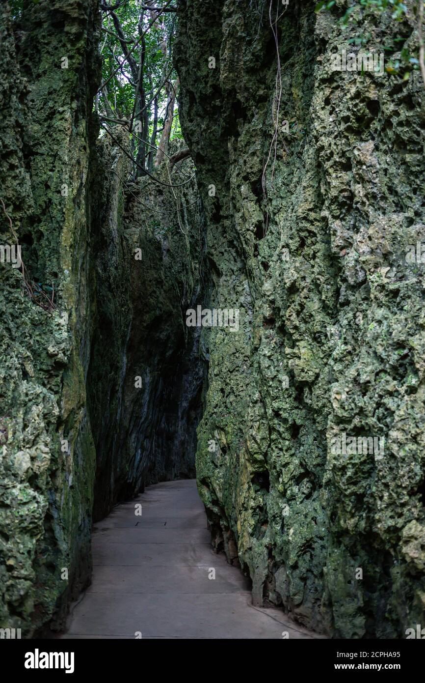 Crevice in the Kenting National Forest Recreation Area Stock Photo - Alamy