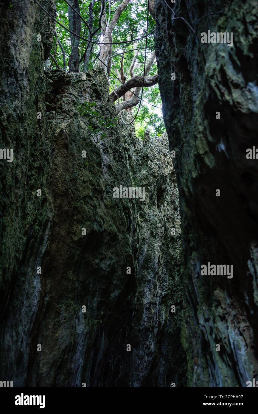 Crevice in the Kenting National Forest Recreation Area Stock Photo - Alamy