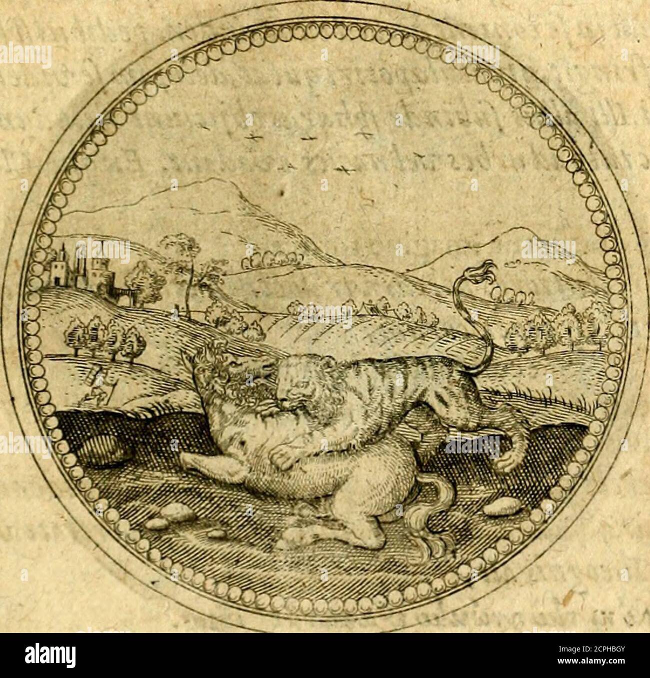 Abuto hi-res stock photography and images - Alamy