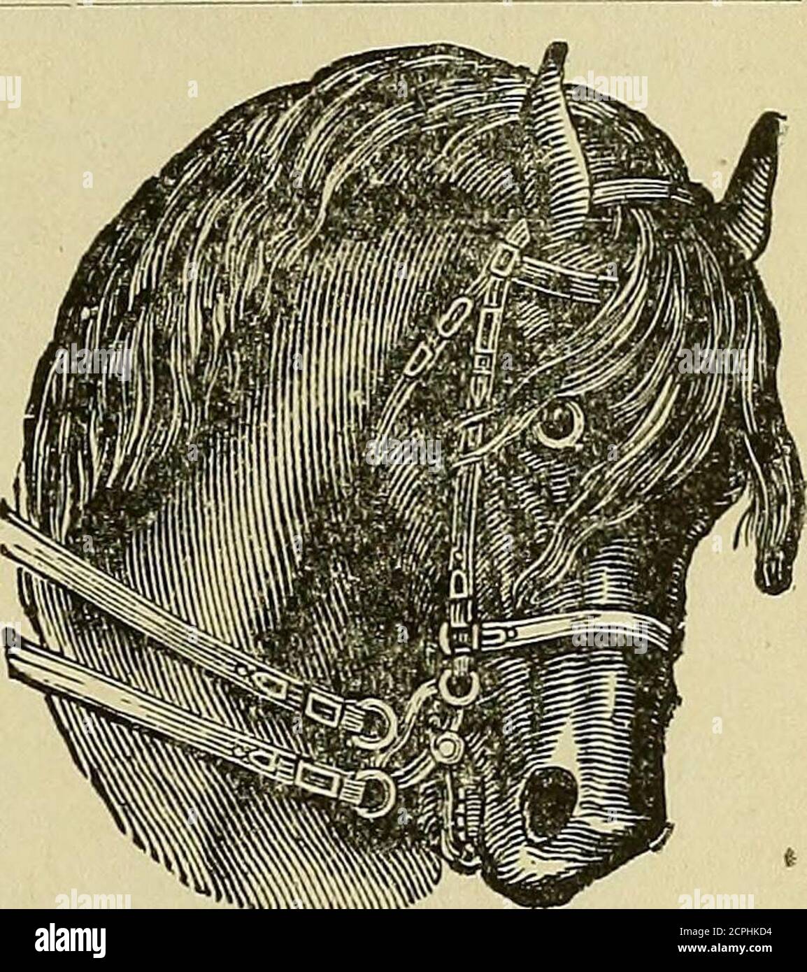 Walden map hi-res stock photography and images - Alamy