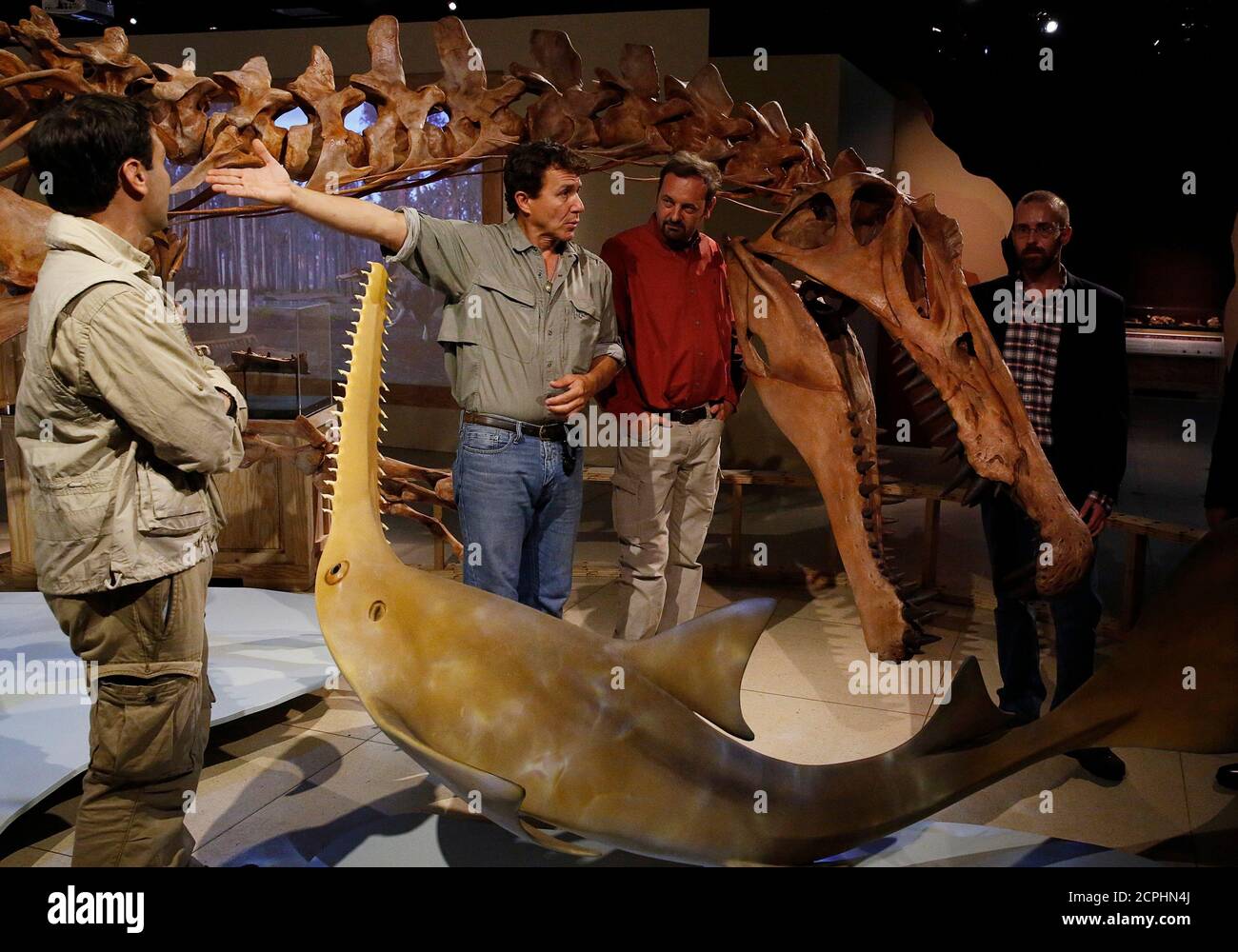 Spinosaurus fossils hi-res stock photography and images - Alamy