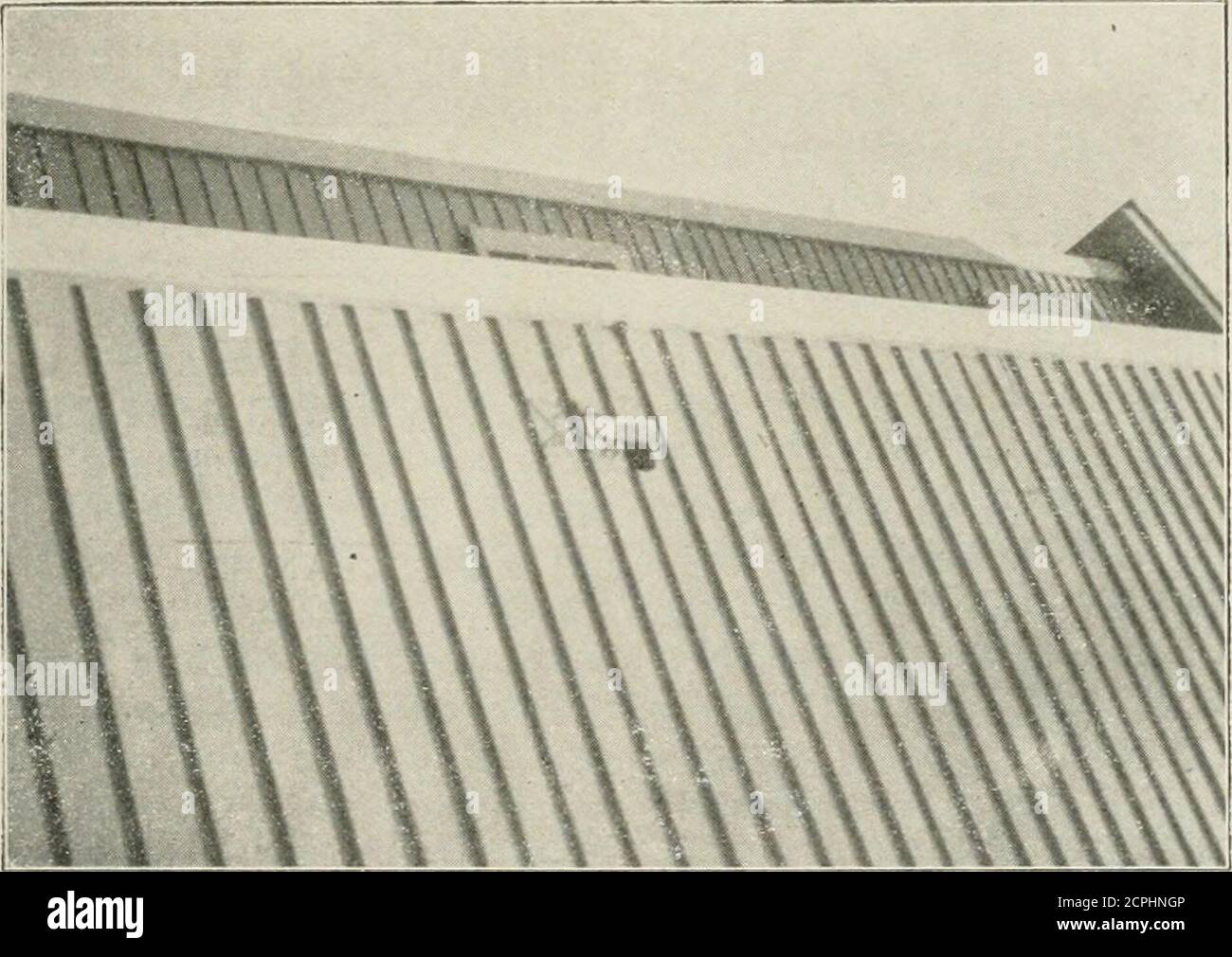 Theodore roosevelt iii hi-res stock photography and images - Alamy