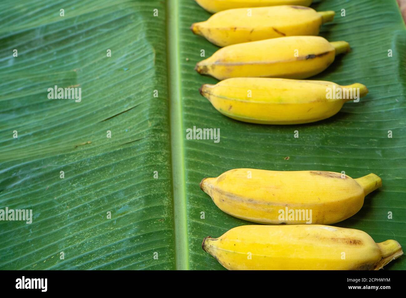 Flat lay layout of yellow bananas on a green banana leaf. Eco food ...