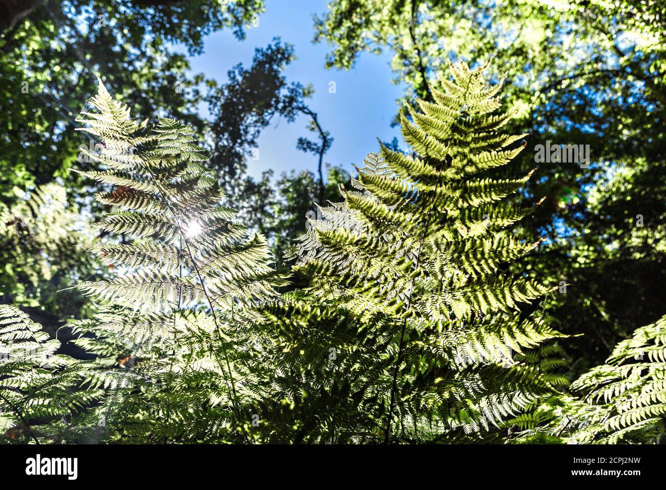 Zenithal view hi-res stock photography and images - Alamy