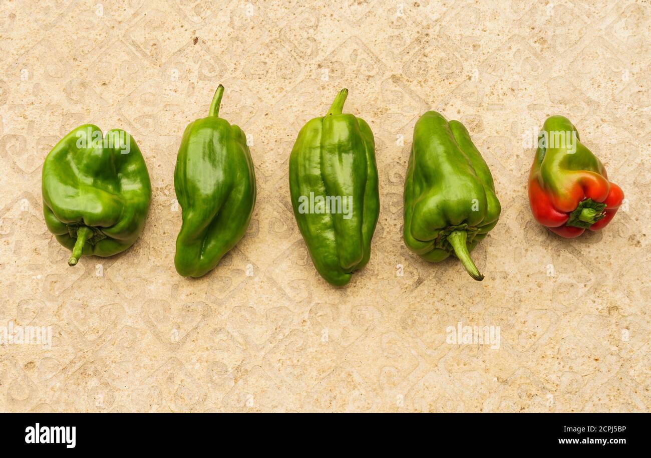 Green peppers from organic farming just picked from the garden on a ...