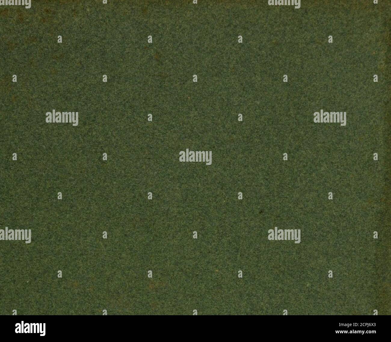 . Genera of birds Stock Photo - Alamy