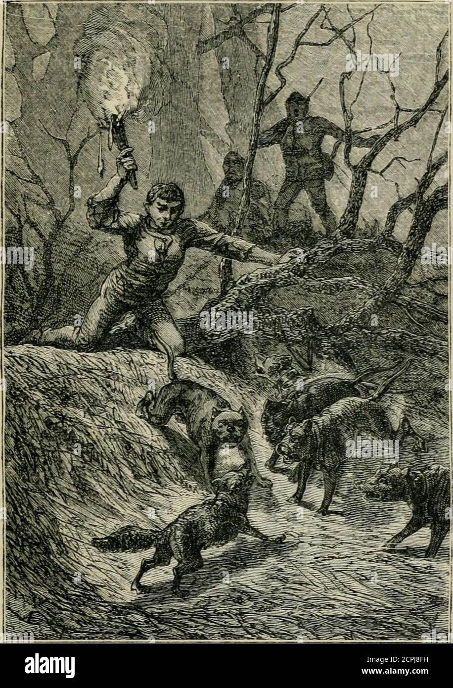 Limited field of fire hi-res stock photography and images - Alamy