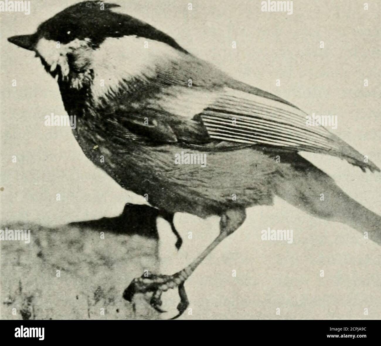 Allsix hi-res stock photography and images - Alamy