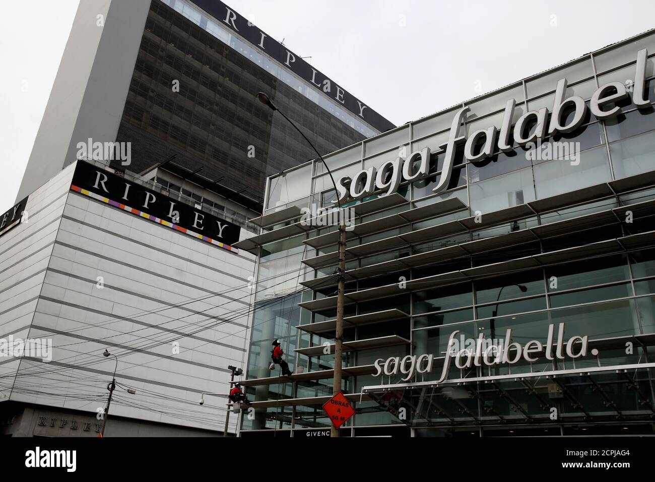 Saga falabella hi-res stock photography and images - Alamy