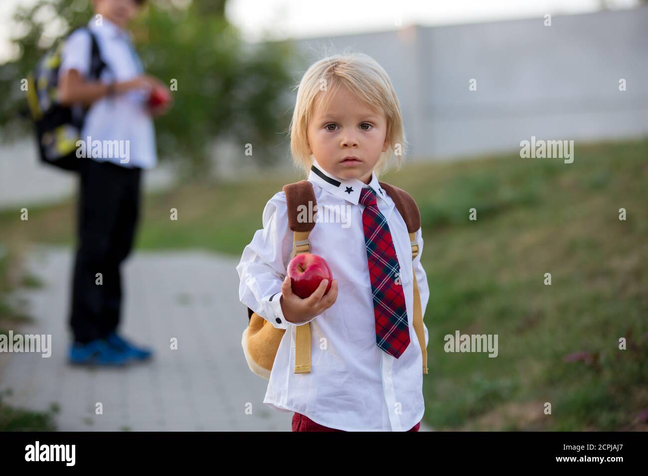 Cute preschool child, holding apple, dressed in uniform, going to ...