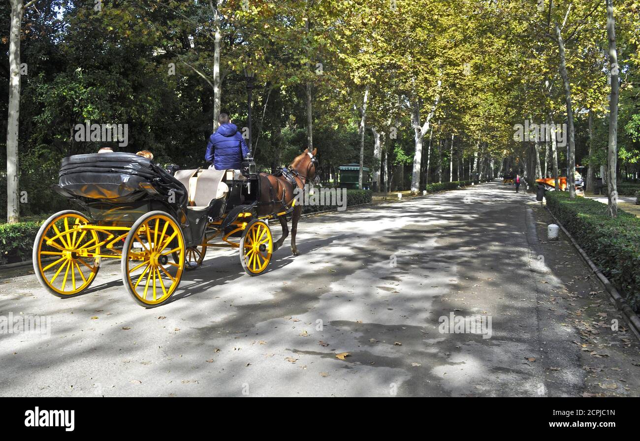 Park carriage drive hi-res stock photography and images - Alamy