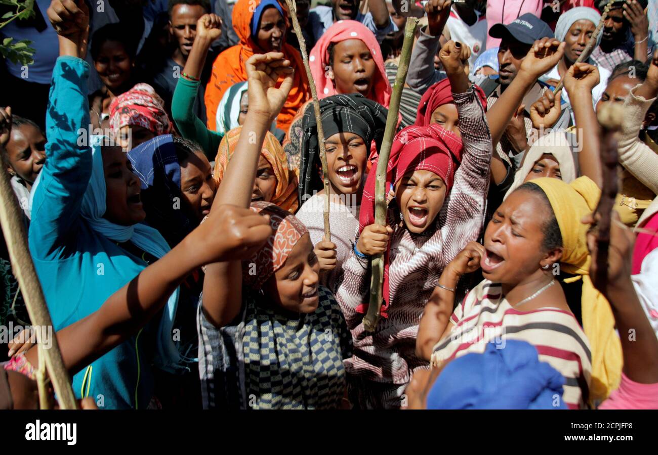 Gerbas hi-res stock photography and images - Alamy