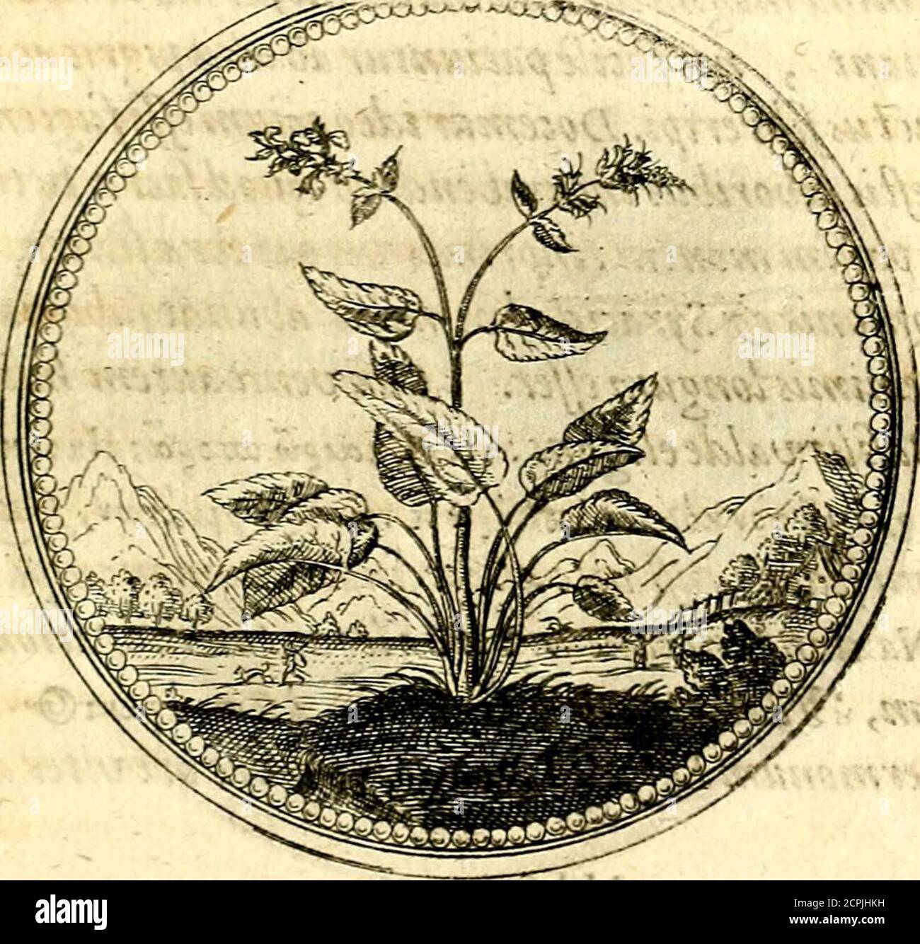 Dubio hi-res stock photography and images - Alamy