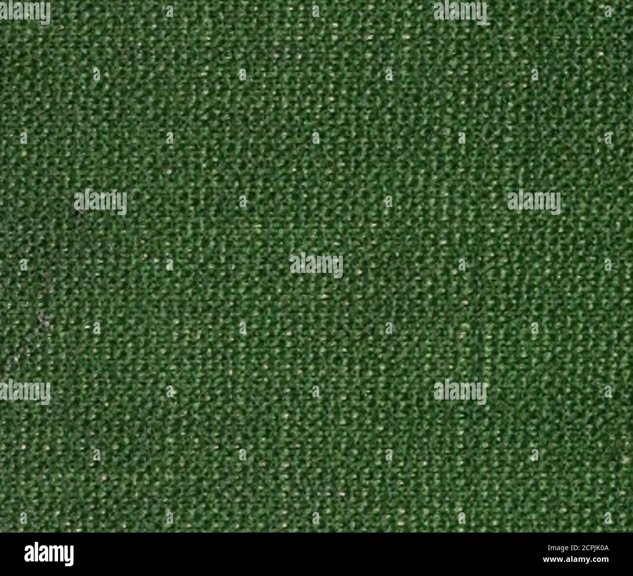 Jointed animals and lower forms hi-res stock photography and images - Alamy