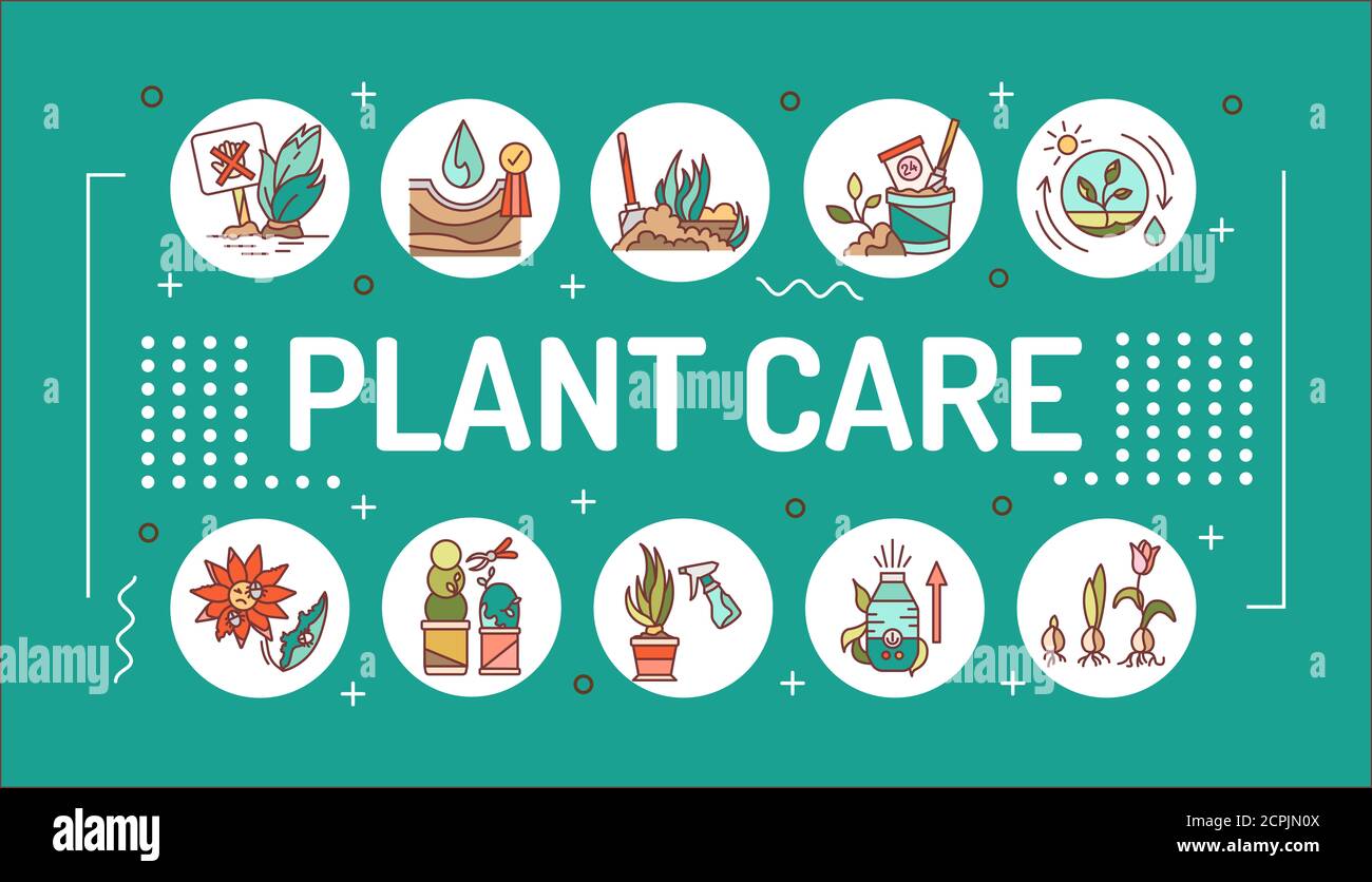 Plant care word lettering typography. Complex of care procedures for ...