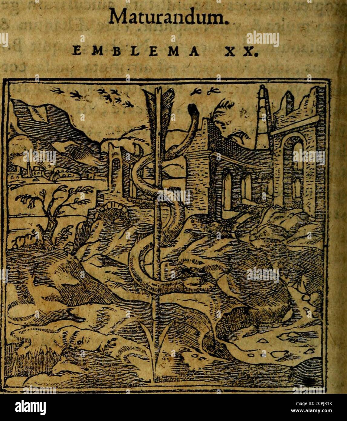 Bo rae hi-res stock photography and images - Alamy