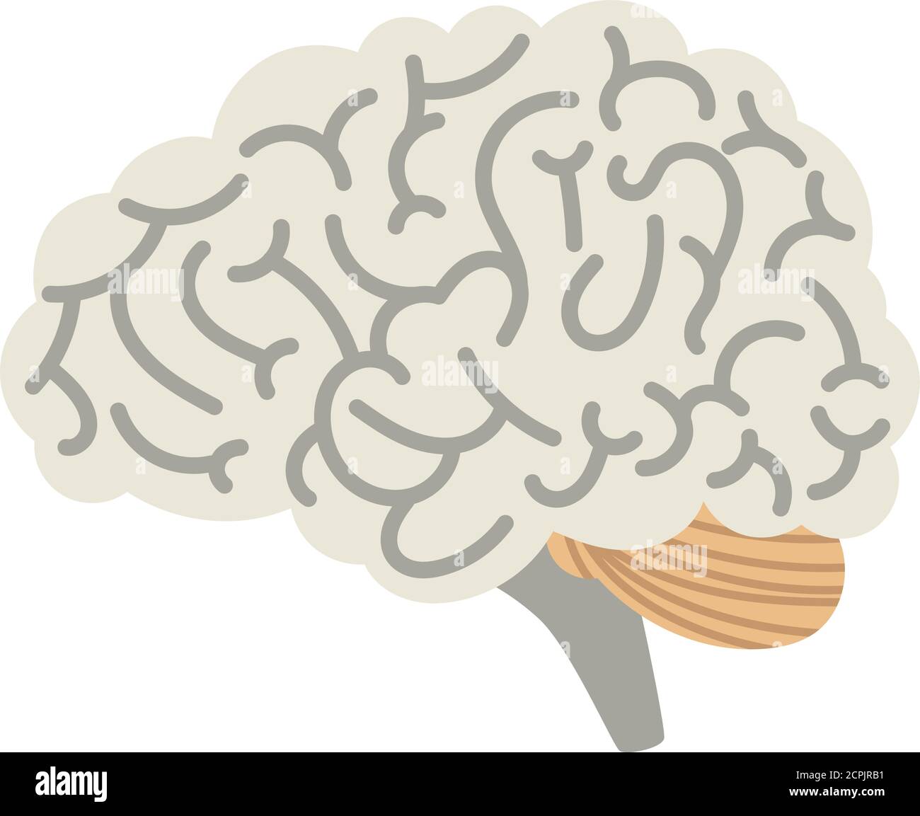 Cartoon Brain High Resolution Stock Photography and Images - Alamy