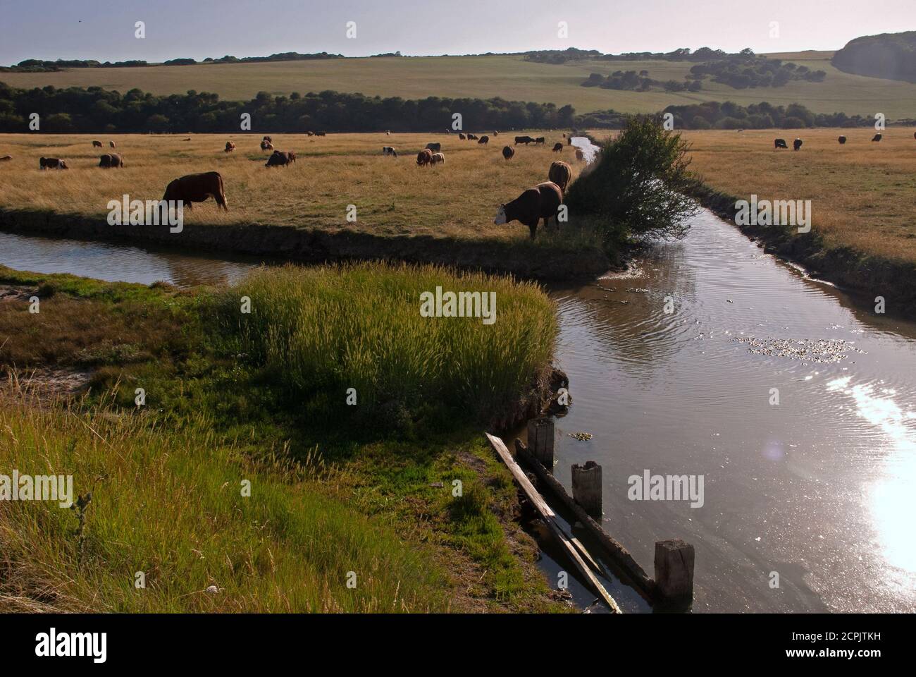 Cuckmere river hi-res stock photography and images - Alamy