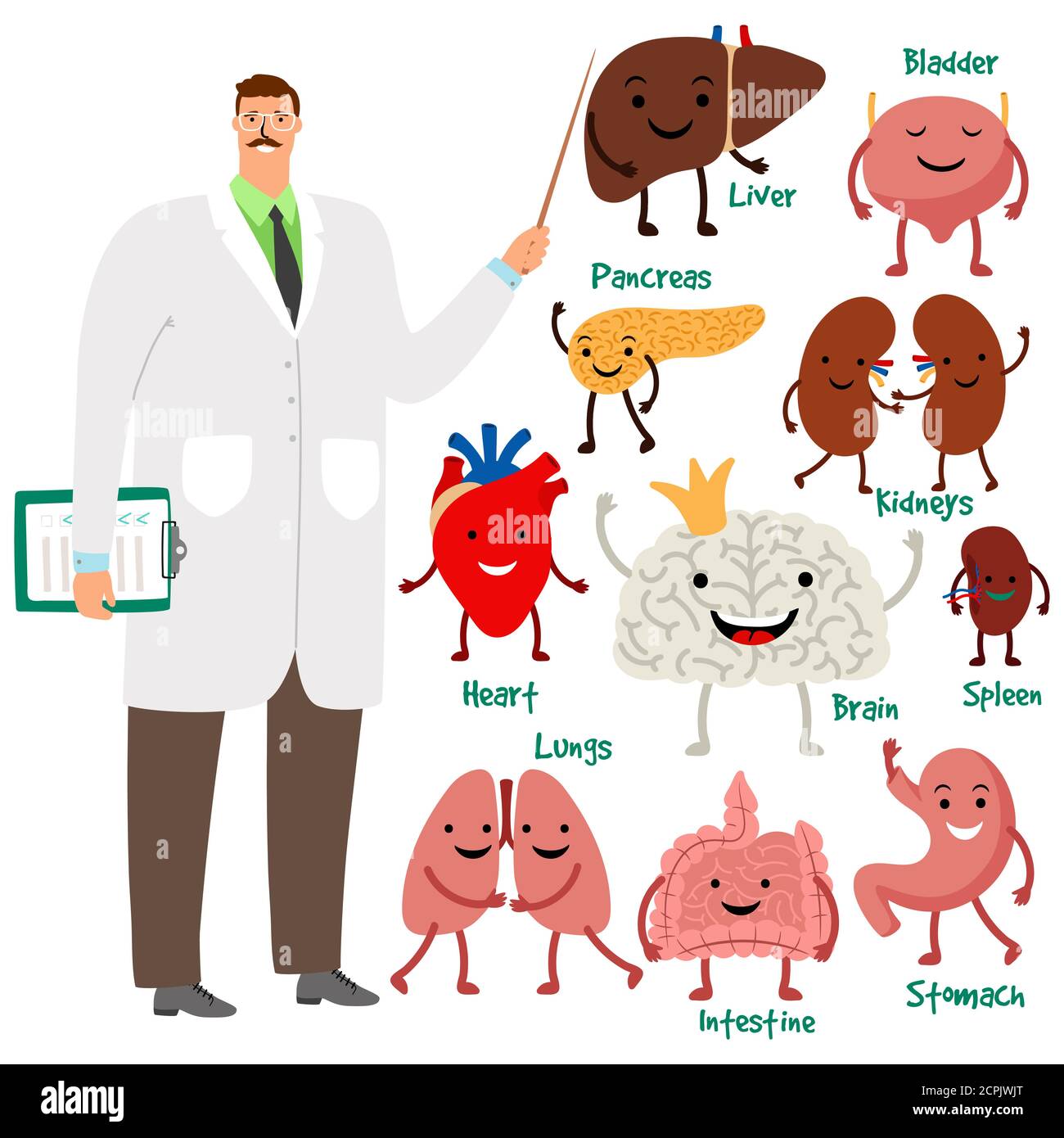 Cute doctor and human internal organs vector illustration. Internal ...