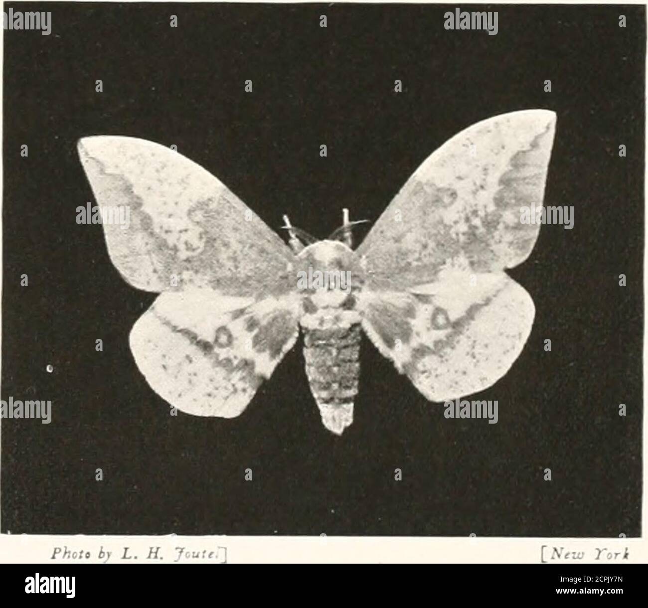 Kirth hi-res stock photography and images - Alamy