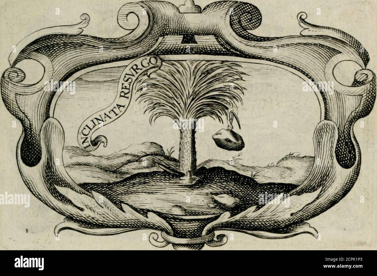 Pondere hi-res stock photography and images - Alamy