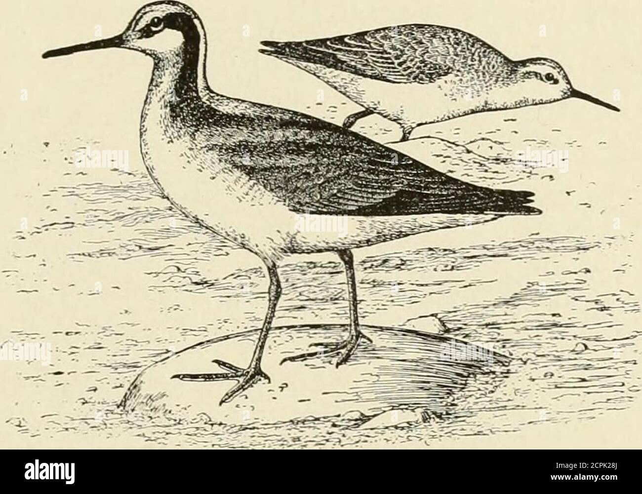 Bia circle hi-res stock photography and images - Alamy