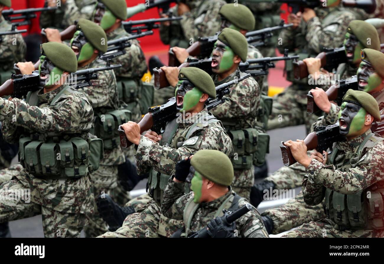 Military Parade Independence Day Peru High Resolution Stock Photography ...