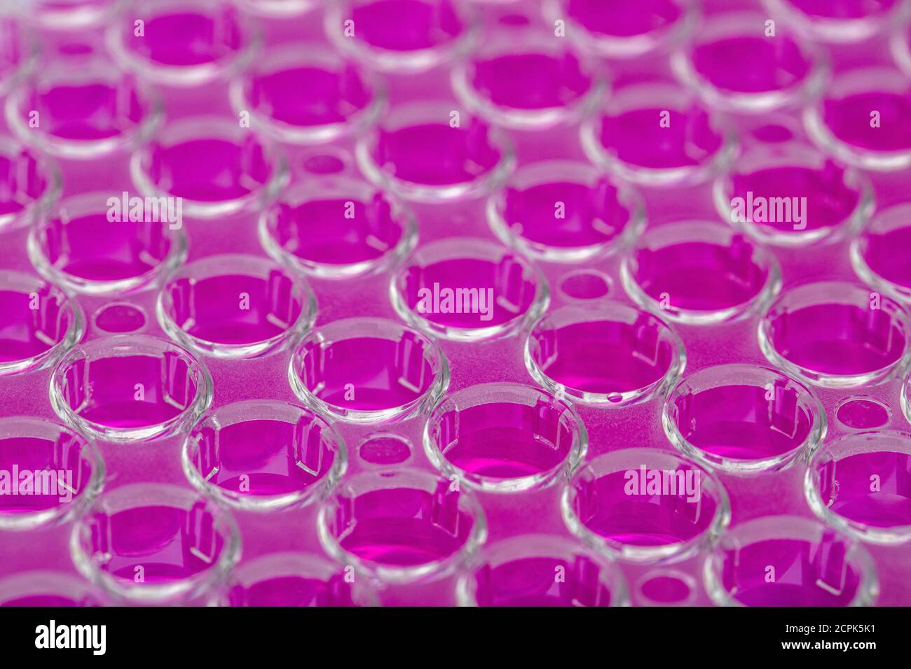 96 well plate multichannel pipette hi-res stock photography and images ...