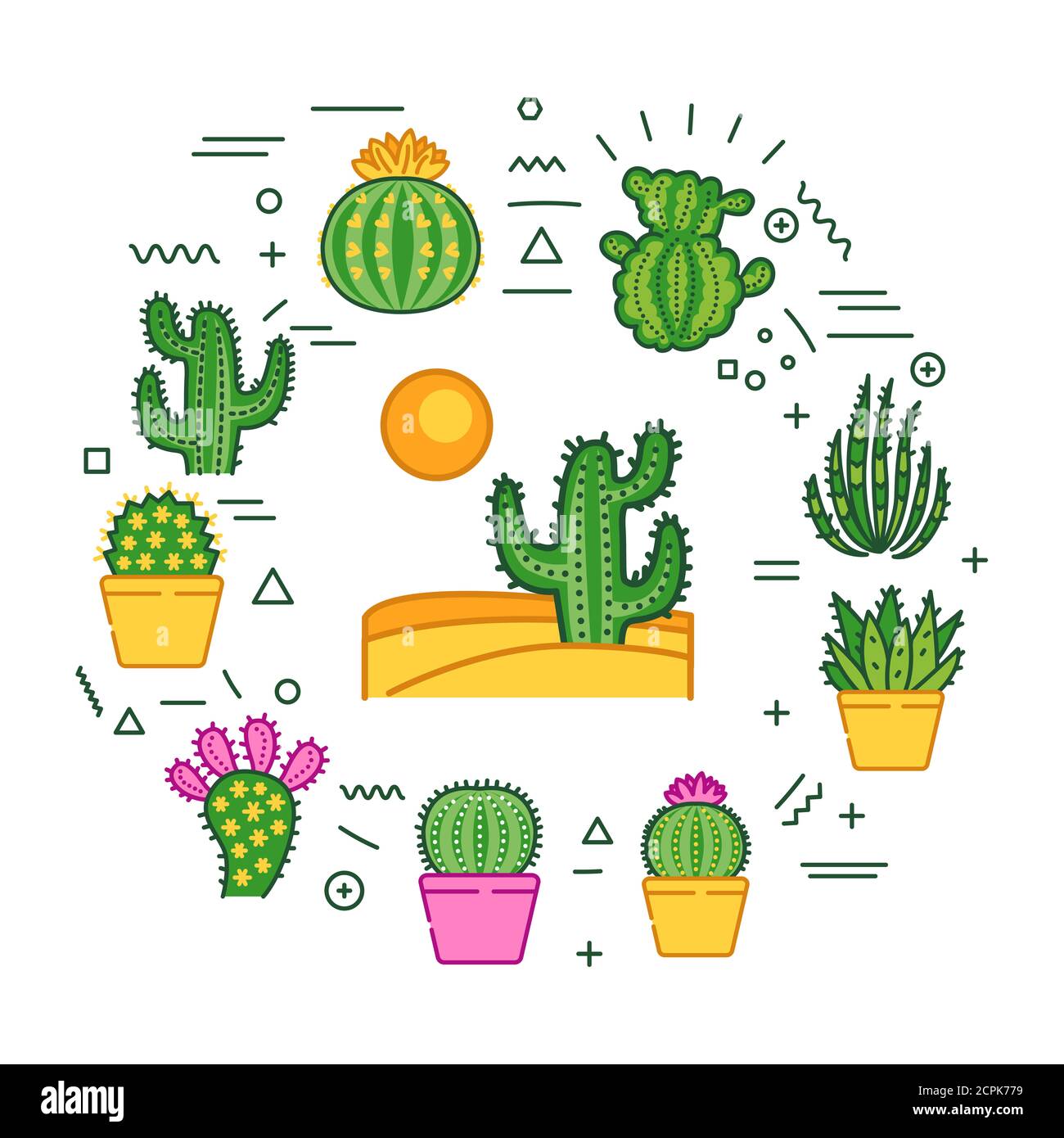 Cacti circular web banner. Infographics with linear icons on white ...
