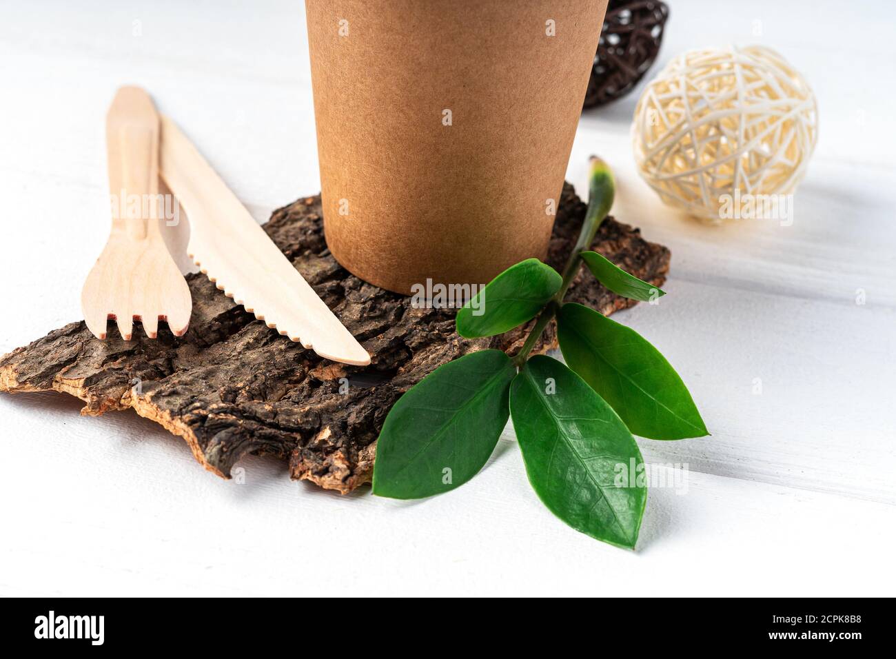 Craft paper coffee cup, green leaves sprout, bark of tree and recycled ...