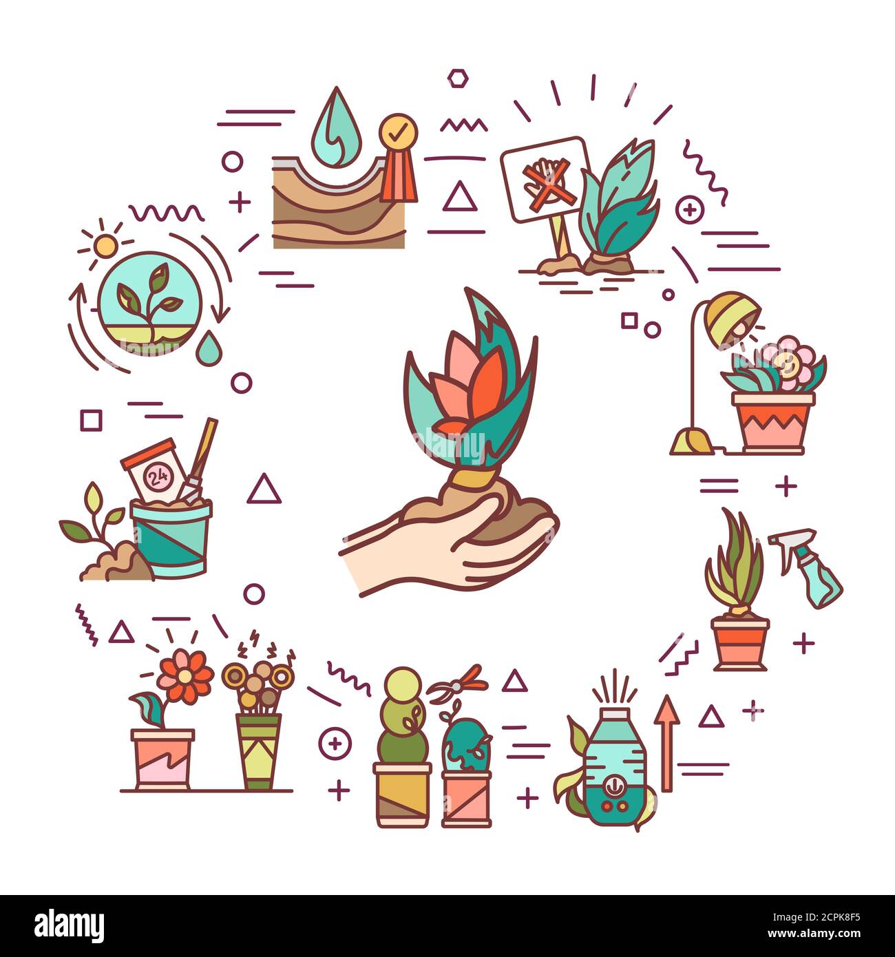 Plant care web banner. Complex of care procedures for plant rotation ...