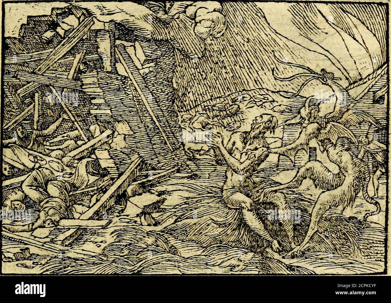 Lobo ii hi-res stock photography and images - Alamy