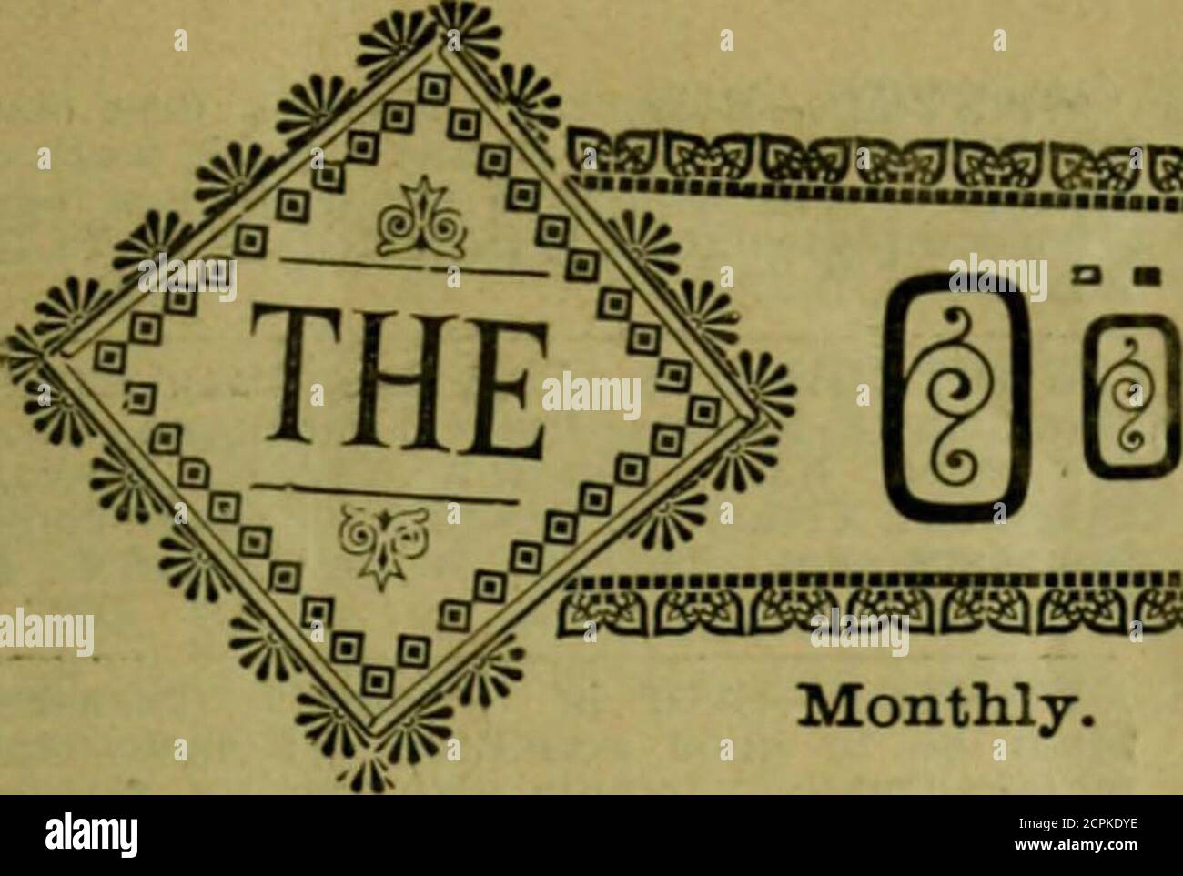 Fossil spiders hi-res stock photography and images - Alamy