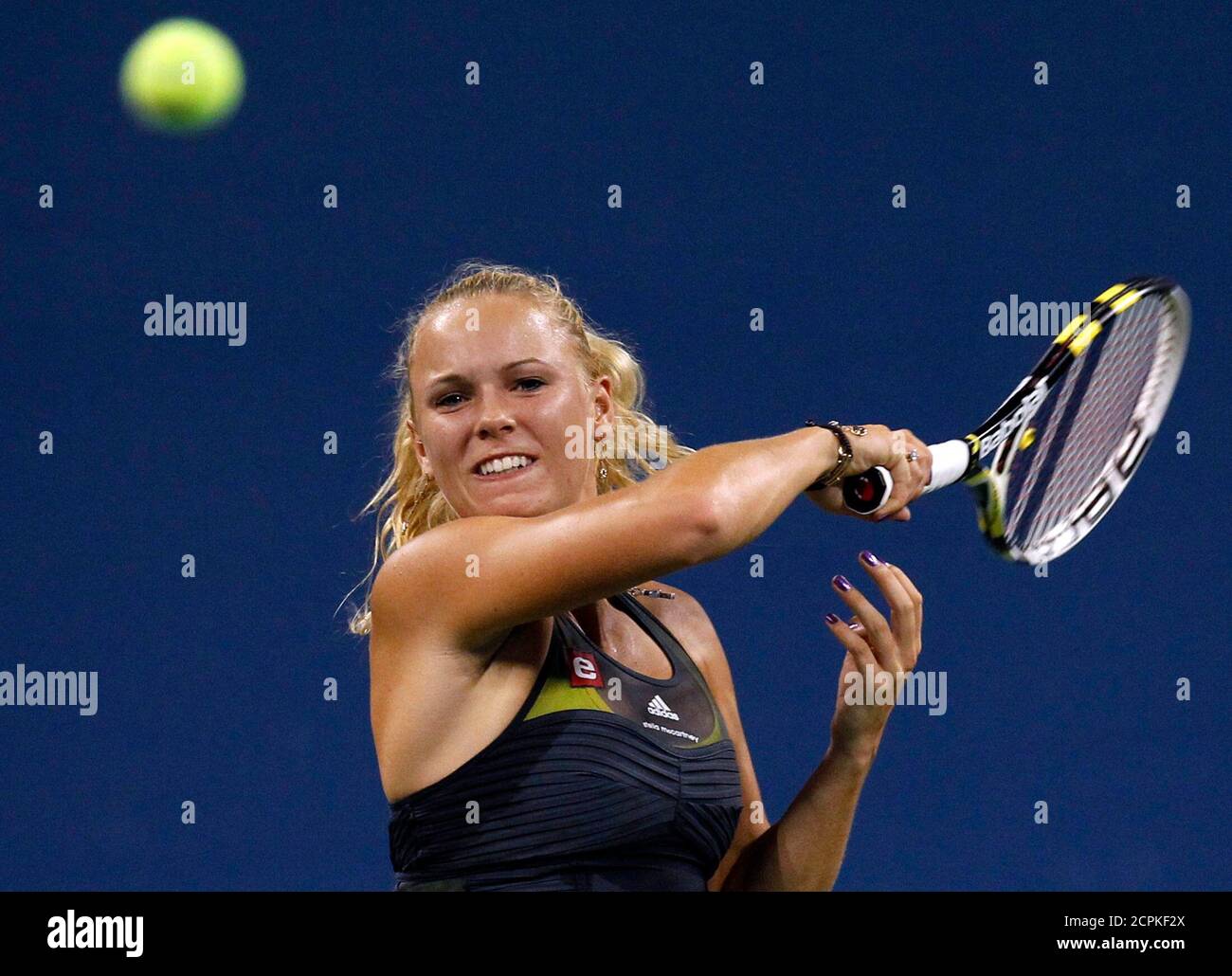 Number One Seed High Resolution Stock Photography and Images - Alamy