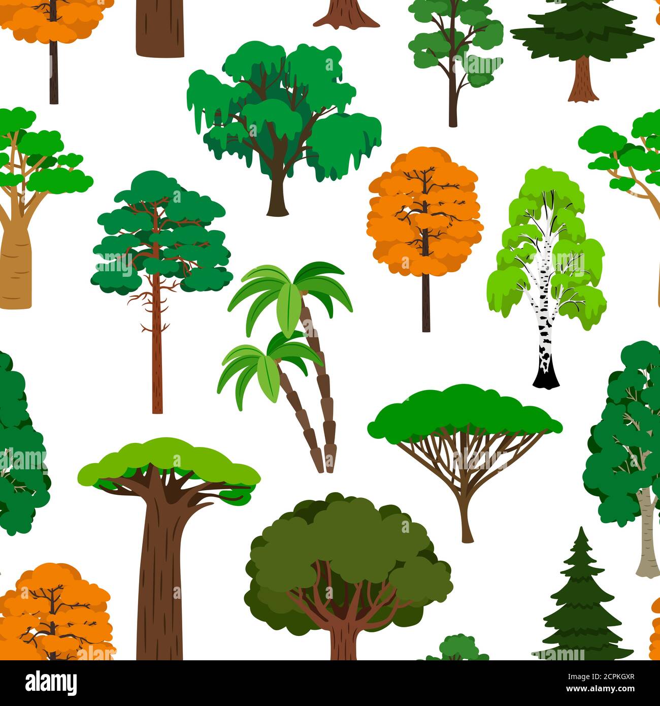 Trees pattern with palms, birches oaks and autumn colors trees, vector ...