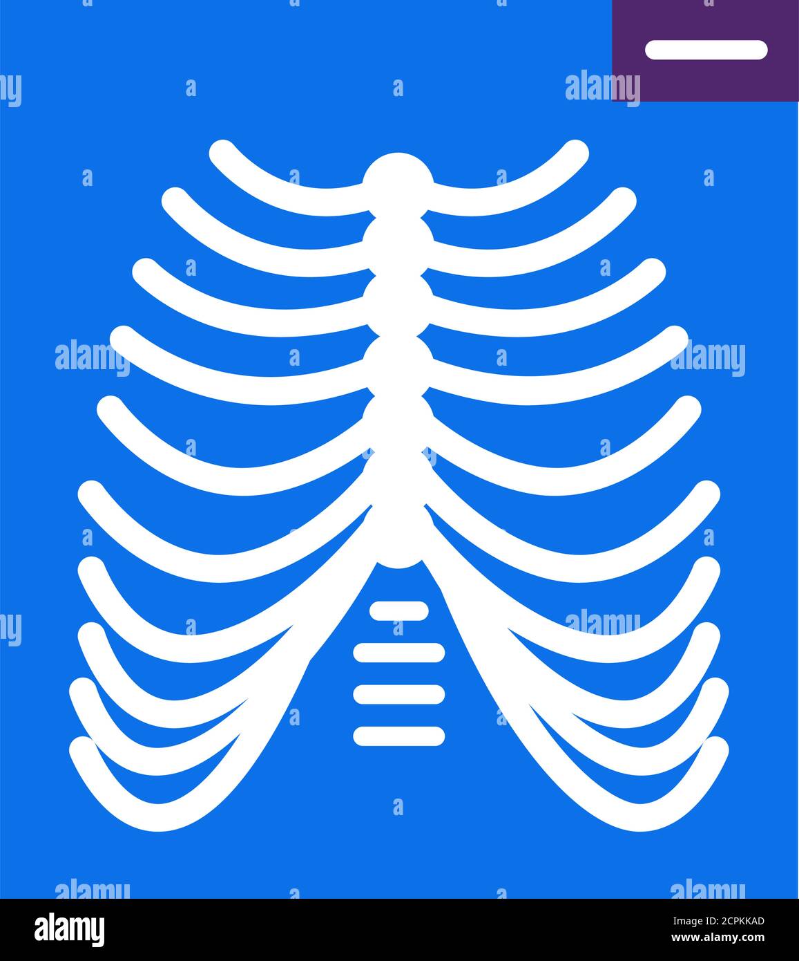 Thorax x-ray screening line color icon. Medical examination. Sign for ...