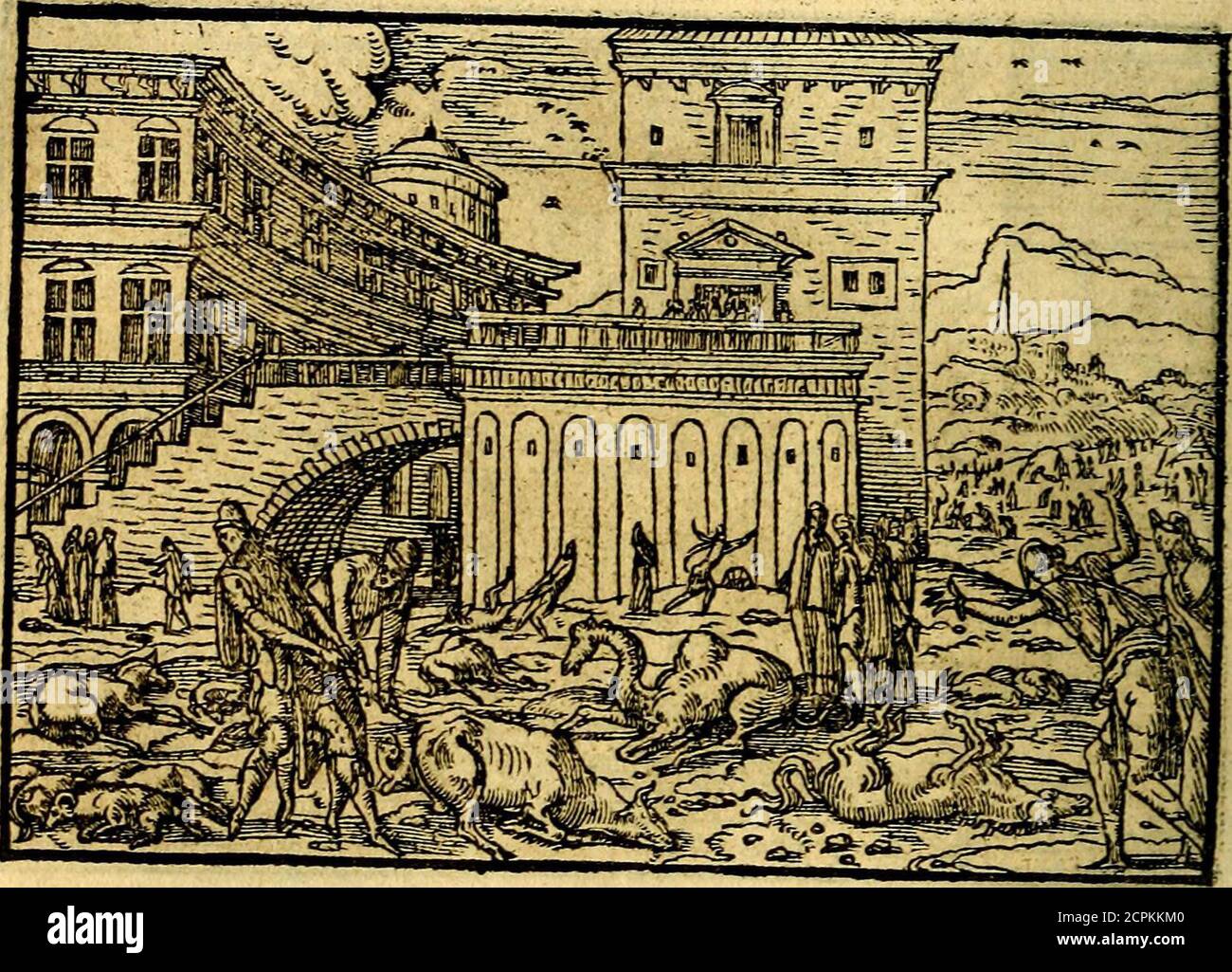 Moribundus hi-res stock photography and images - Alamy