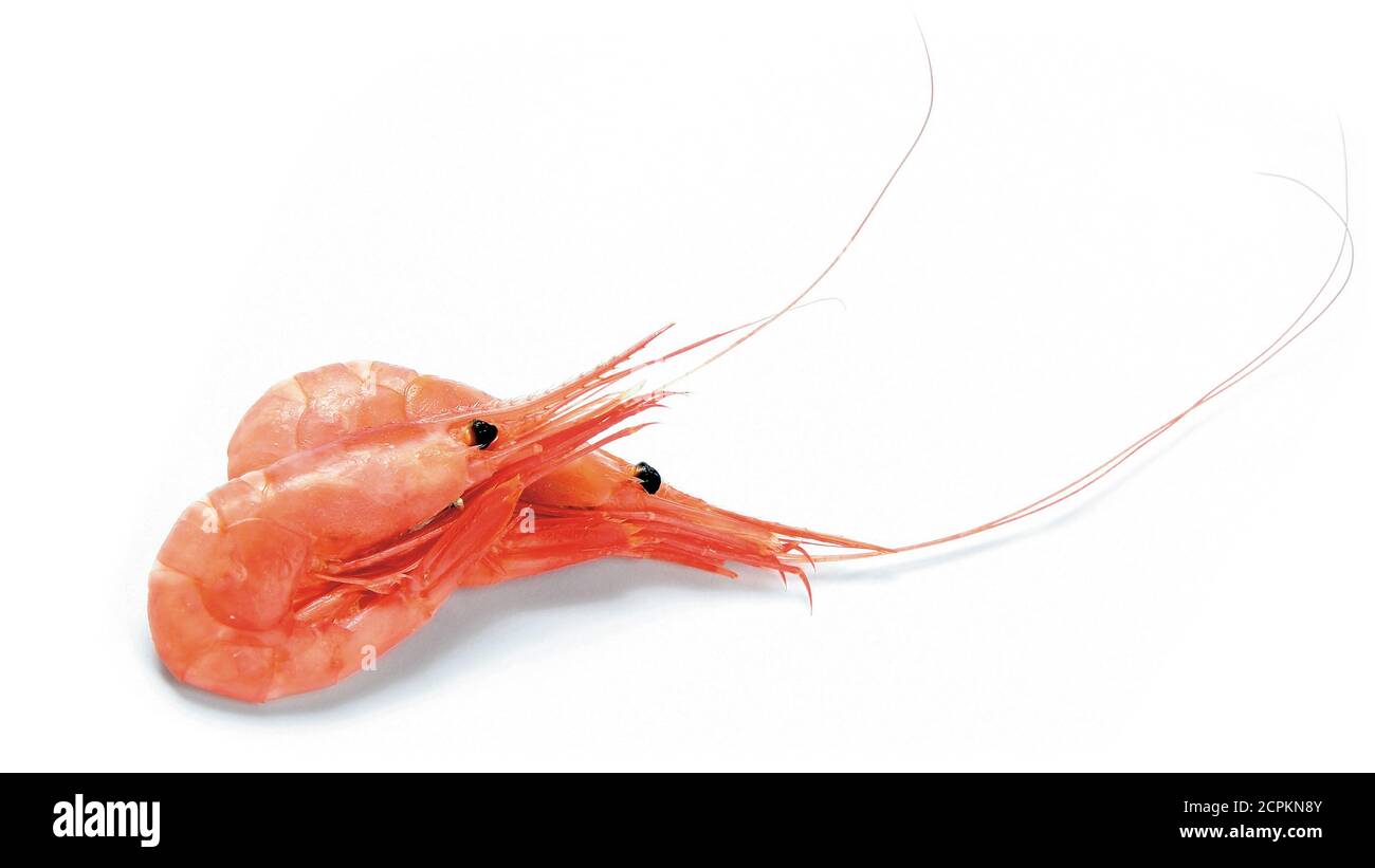 Fresh sea fish market Cut Out Stock Images & Pictures - Alamy