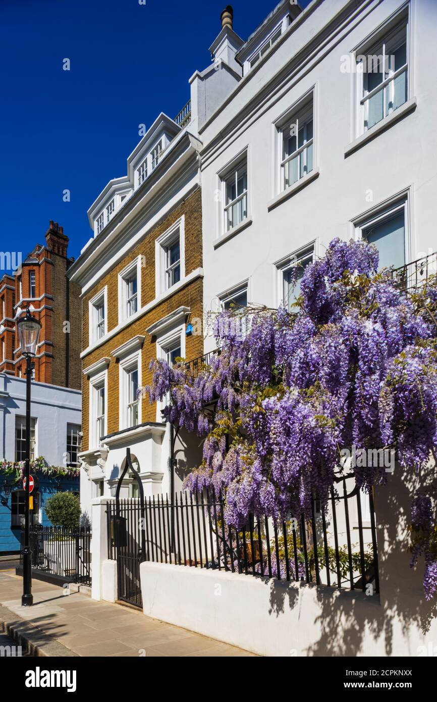 Cheyne walk hi-res stock photography and images - Alamy