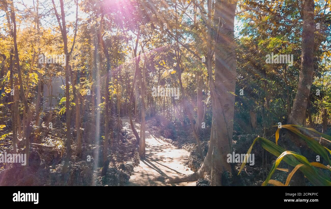 Middle pathway to the way of the cross Stock Photo - Alamy