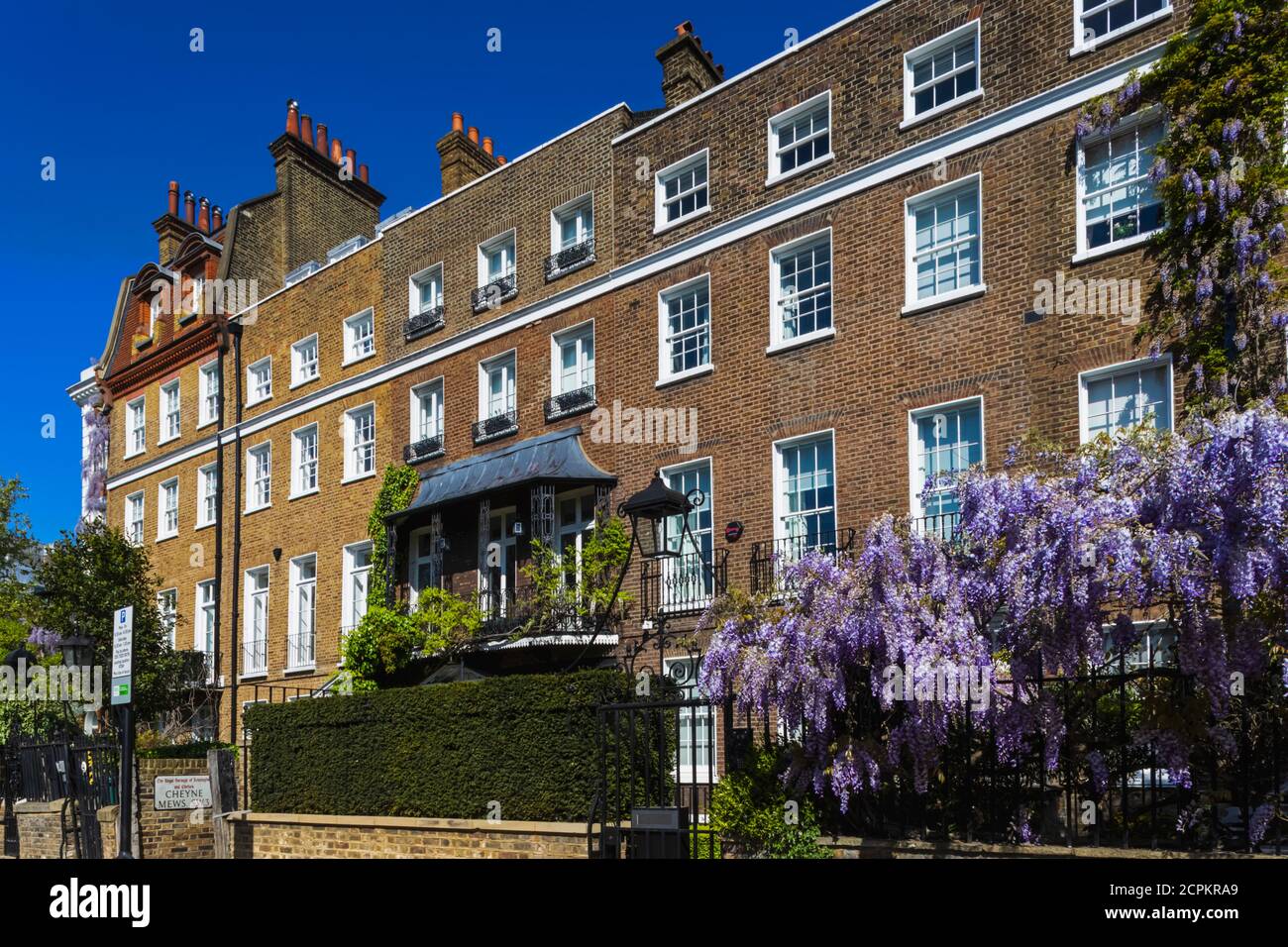 Cheyne walk london hi-res stock photography and images - Alamy