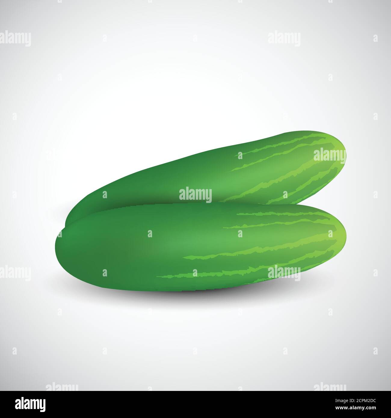 fresh green cucumber isolated white background. vector illustration ...