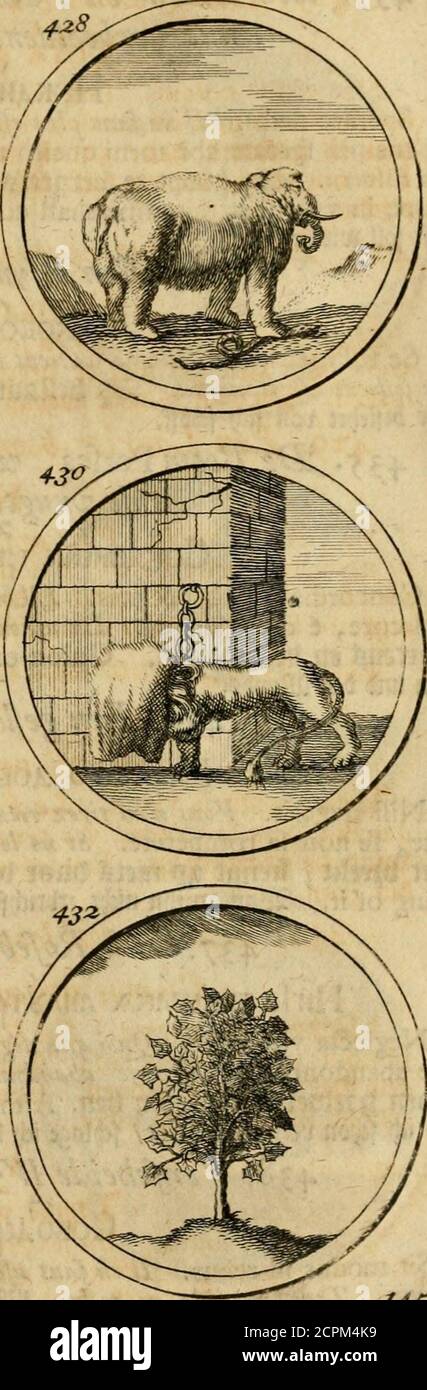 Verbeeldende hi-res stock photography and images - Alamy