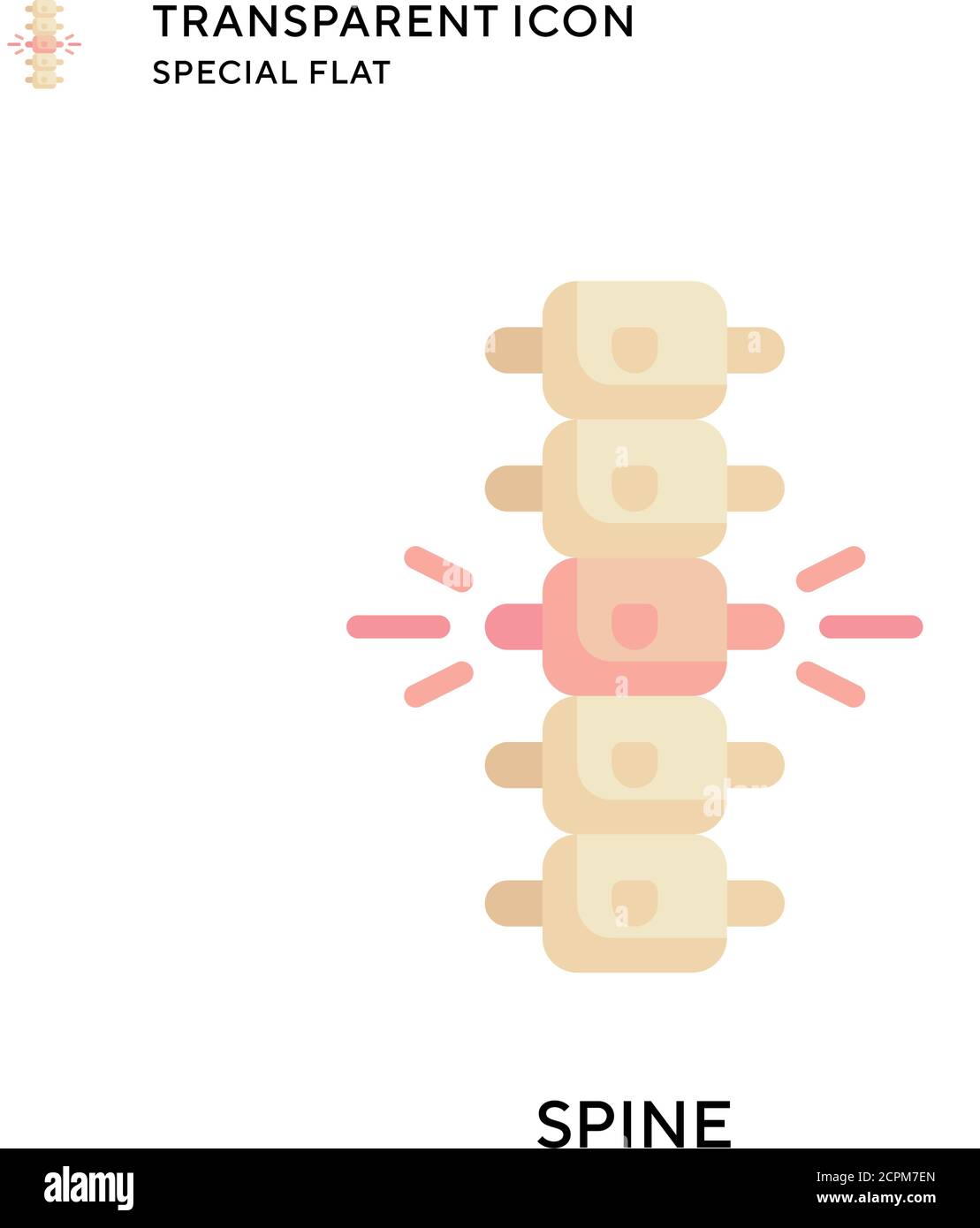 Model human spine lumbar spinal cord column Stock Vector Images - Alamy