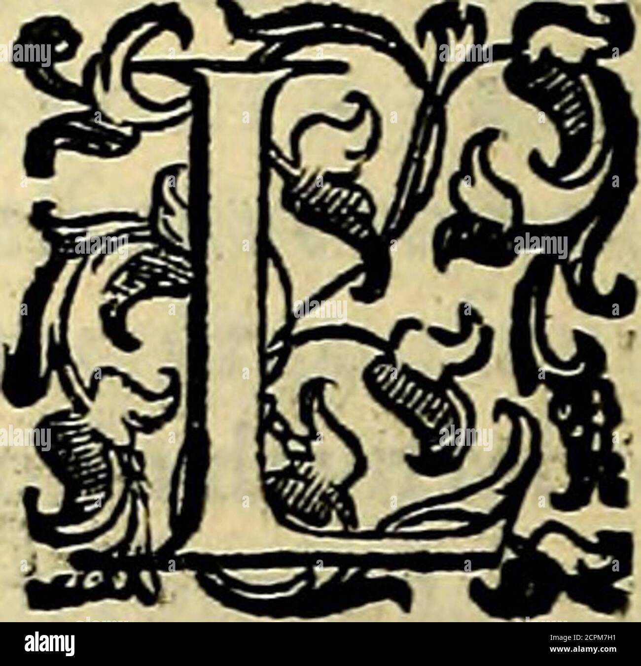 Monte perla hi-res stock photography and images - Alamy