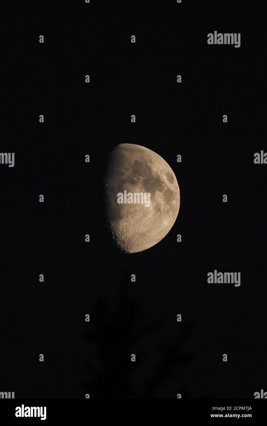 bright moon in a dark sky Stock Photo - Alamy