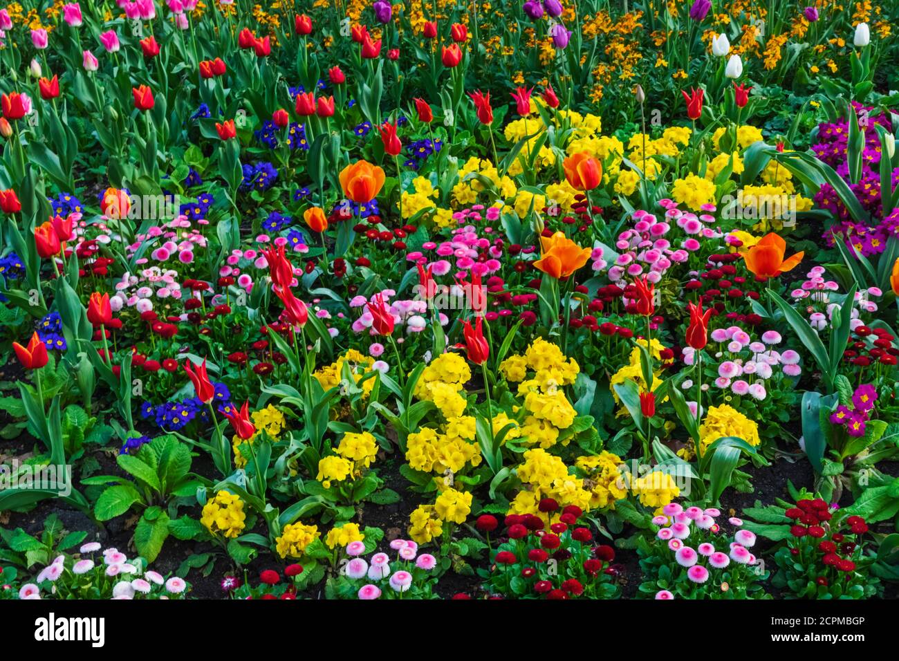 England, London, Westminster, St.James's, St.James's Park, Spring ...